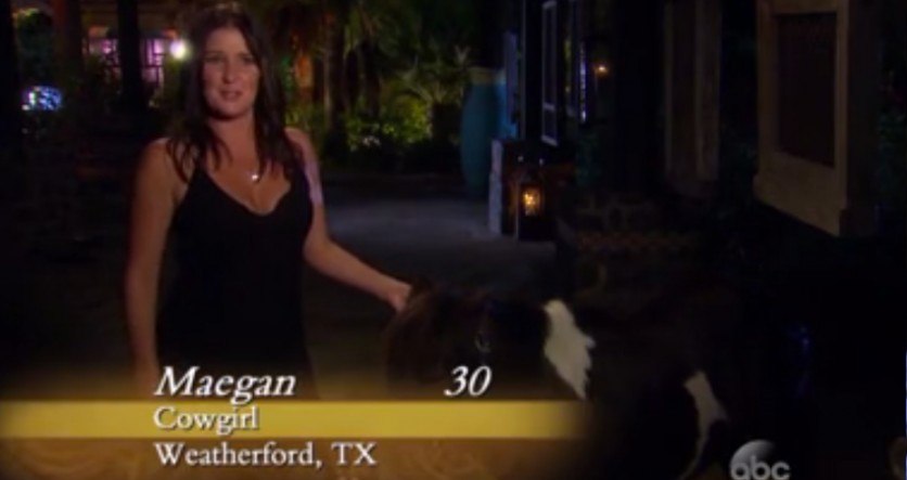 Power Ranking The Bachelor's Most Ridiculous Contestant Occupations ...