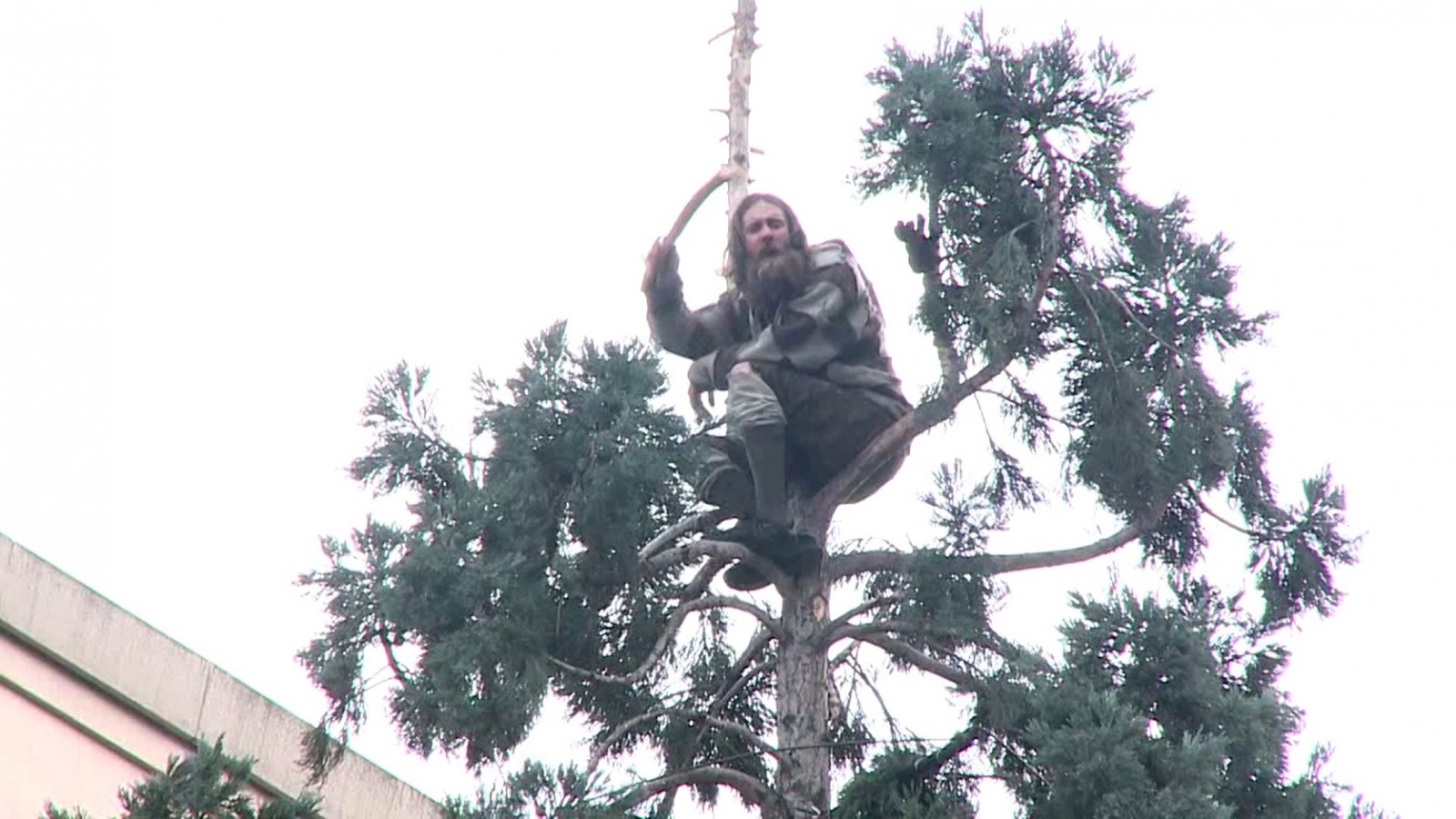 A Seattle Man Has Been Stuck in a Tree for 24 Hours, and the Internet ...