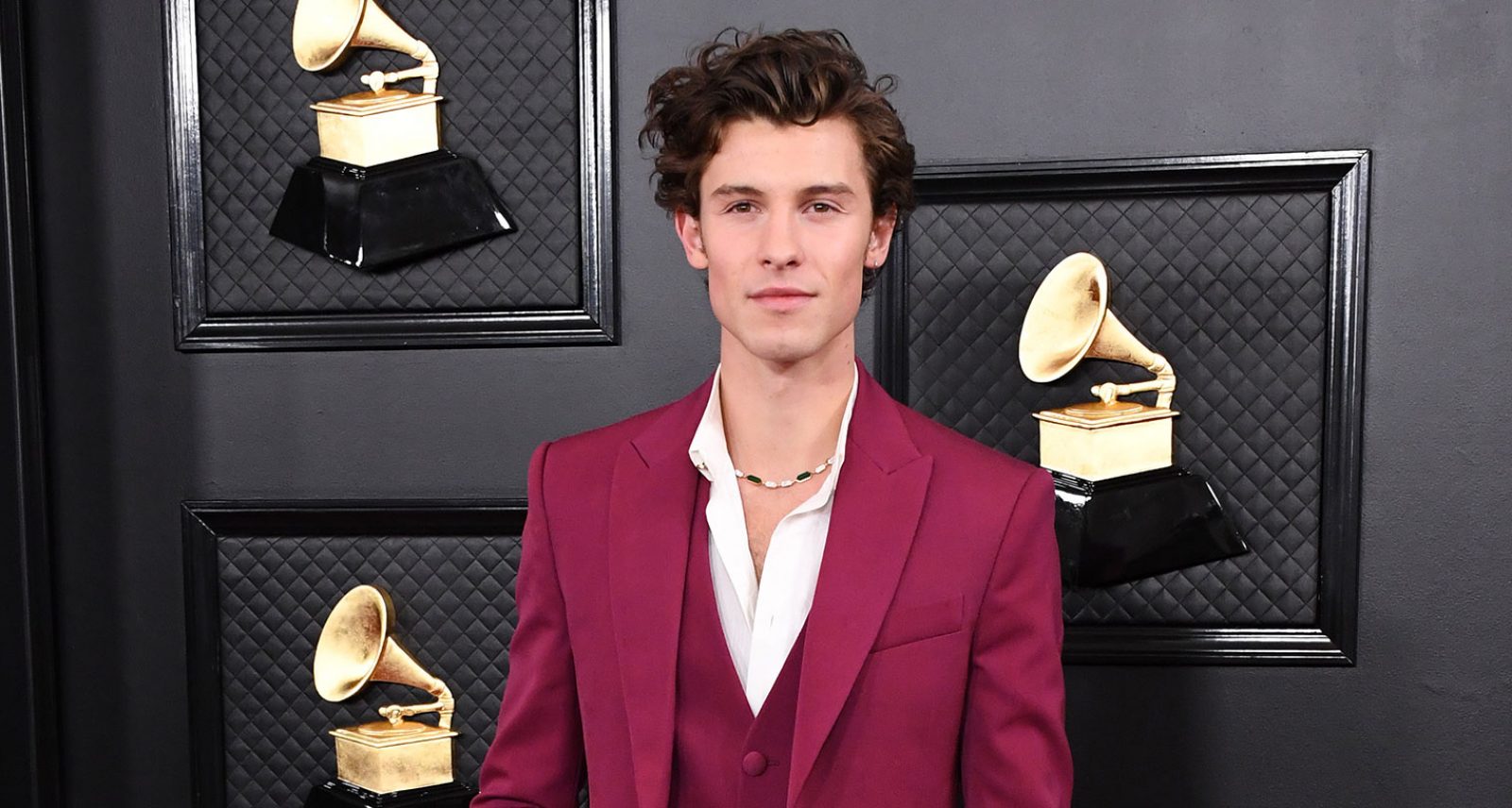 The Best Suits, Cowboy Hats, and Bare Chests of the 62nd Grammy Awards ...
