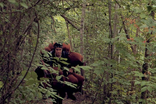 Toronto Biennial of Art 2022: Everything You Should Know