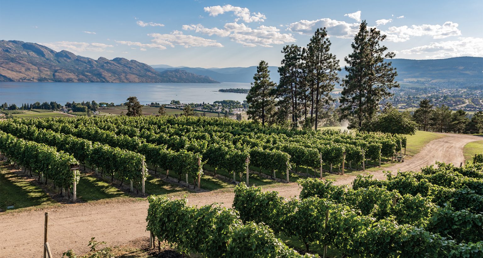 48 Hours in the Okanagan — What To See, Eat, and Do - Sharp Magazine