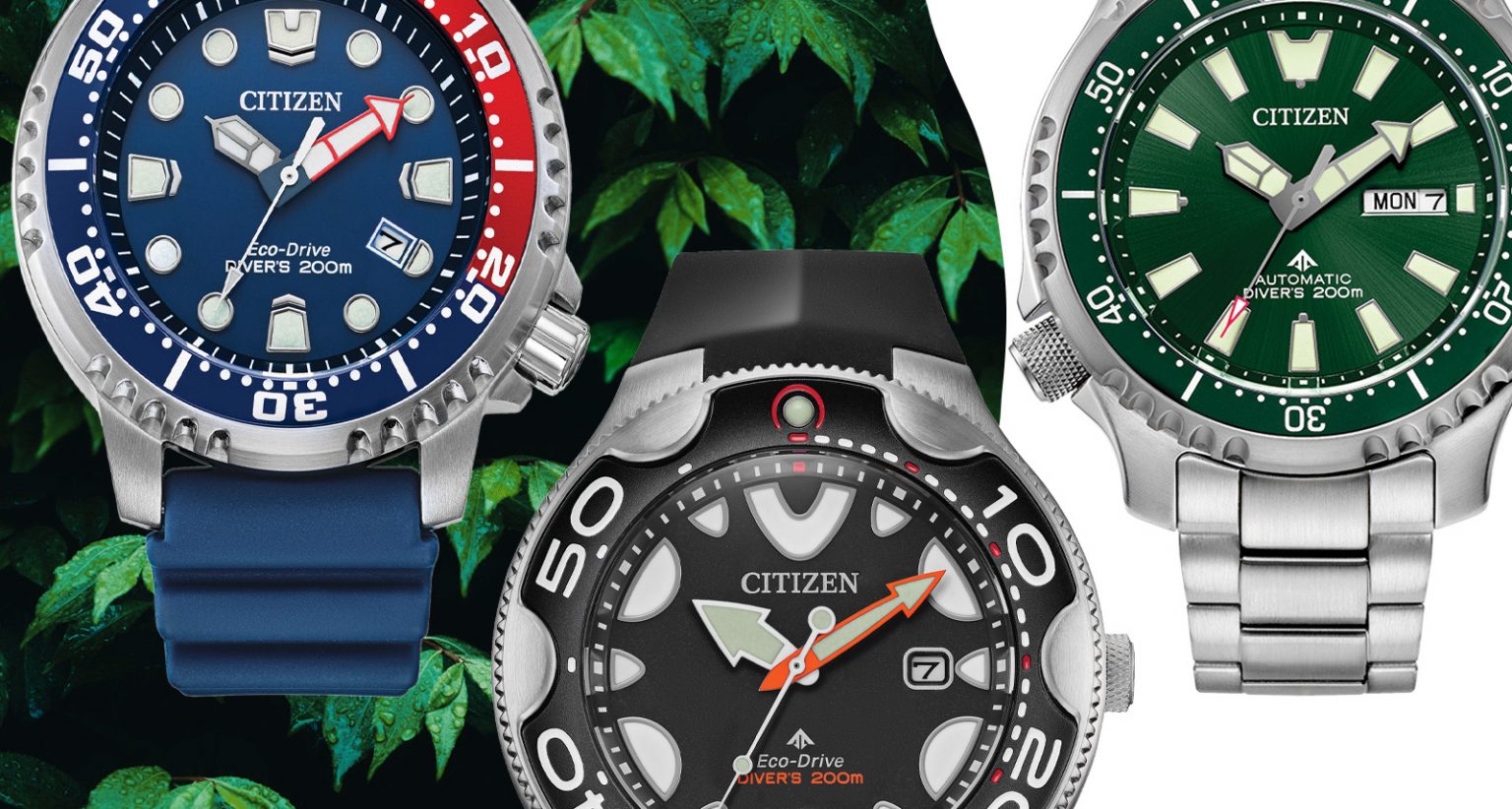 SHARP Finds: 6 Essential Citizen Dive Watches - Sharp Magazine