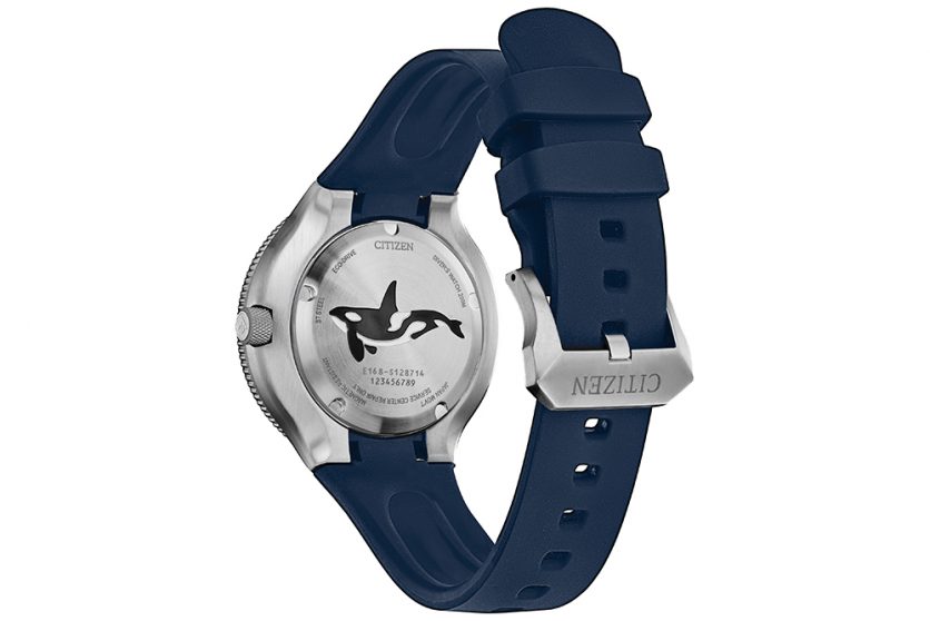 SHARP Finds: 6 Essential Citizen Dive Watches - Sharp Magazine