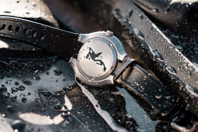 SHARP Finds: 6 Essential Citizen Dive Watches - Sharp Magazine