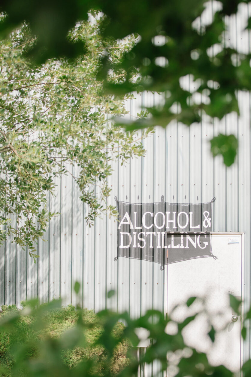 The Rebirth of the Absinthe Swiller - Sharp Magazine