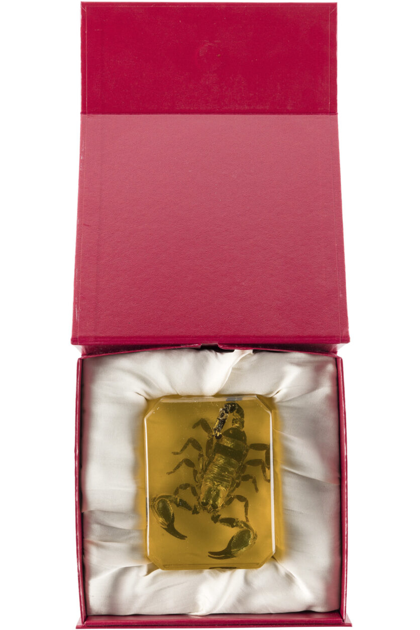 "Succession" Props at Heritage Auctions - Sharp Magazine