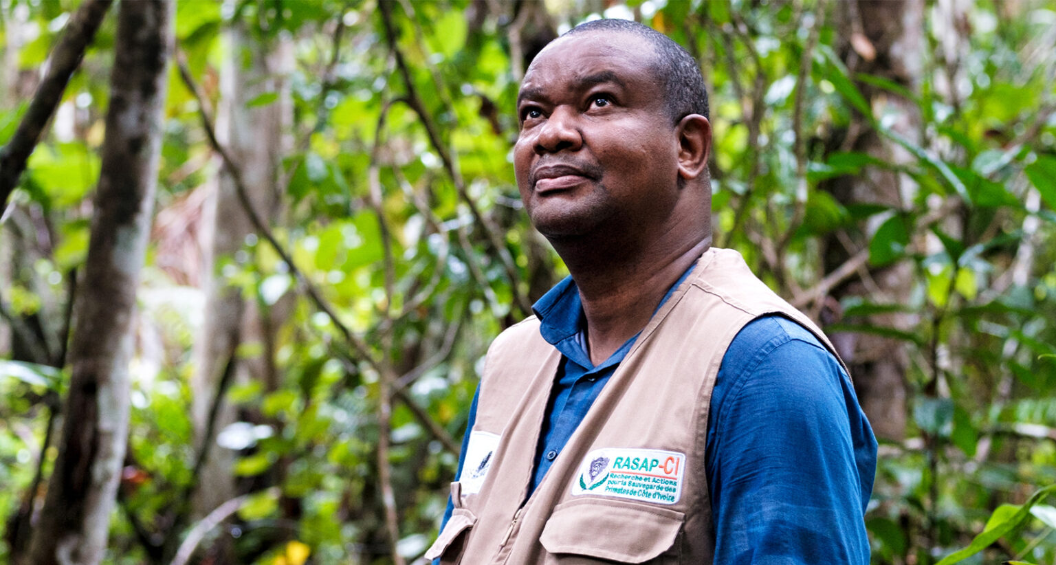 How To Save a Rainforest, With Rolex Award Winner Inza Koné - Sharp ...